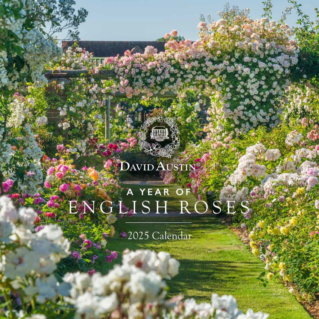 ホーム・ギフト – David Austin Roses Japan